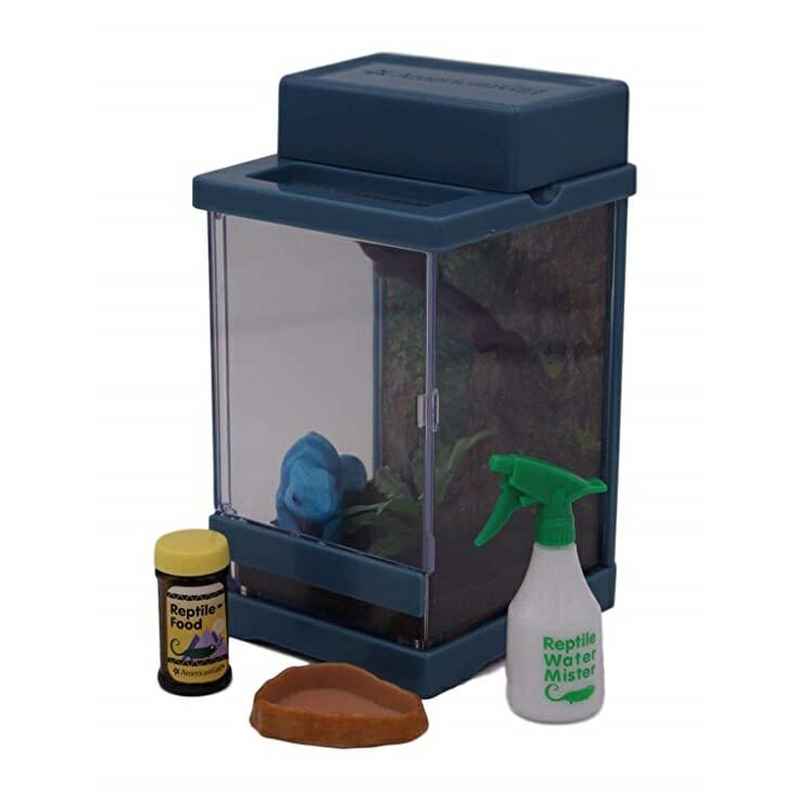 Top 10 Best Terrariums for Pets - Best Choice Reviews