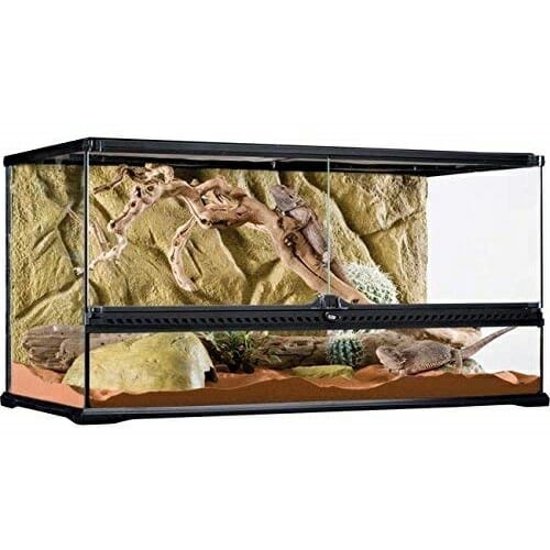 Top 10 Best Terrariums for Pets - Best Choice Reviews